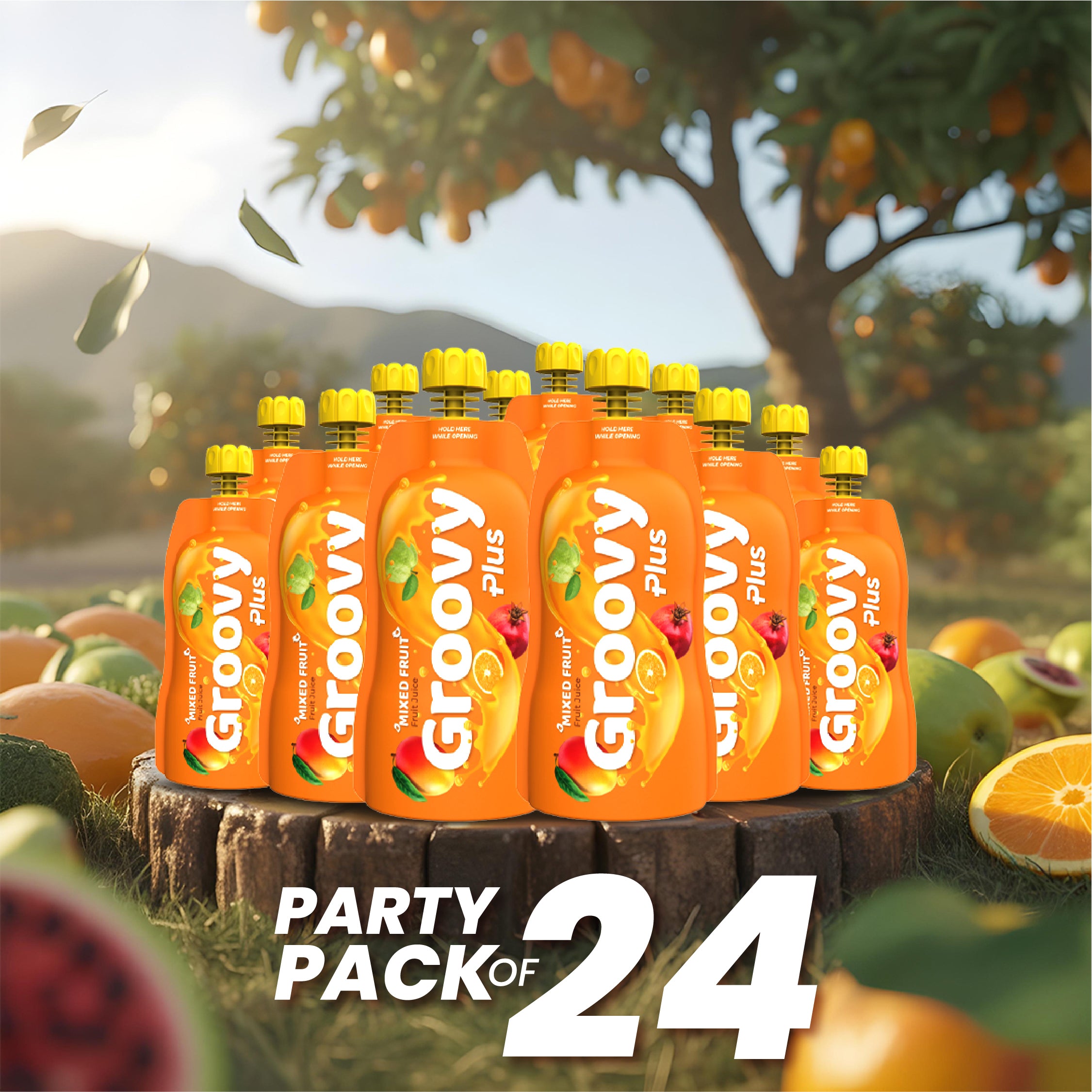 Mixed Fruit Juice Pack of 24 Festive Pack – drinkgroovy